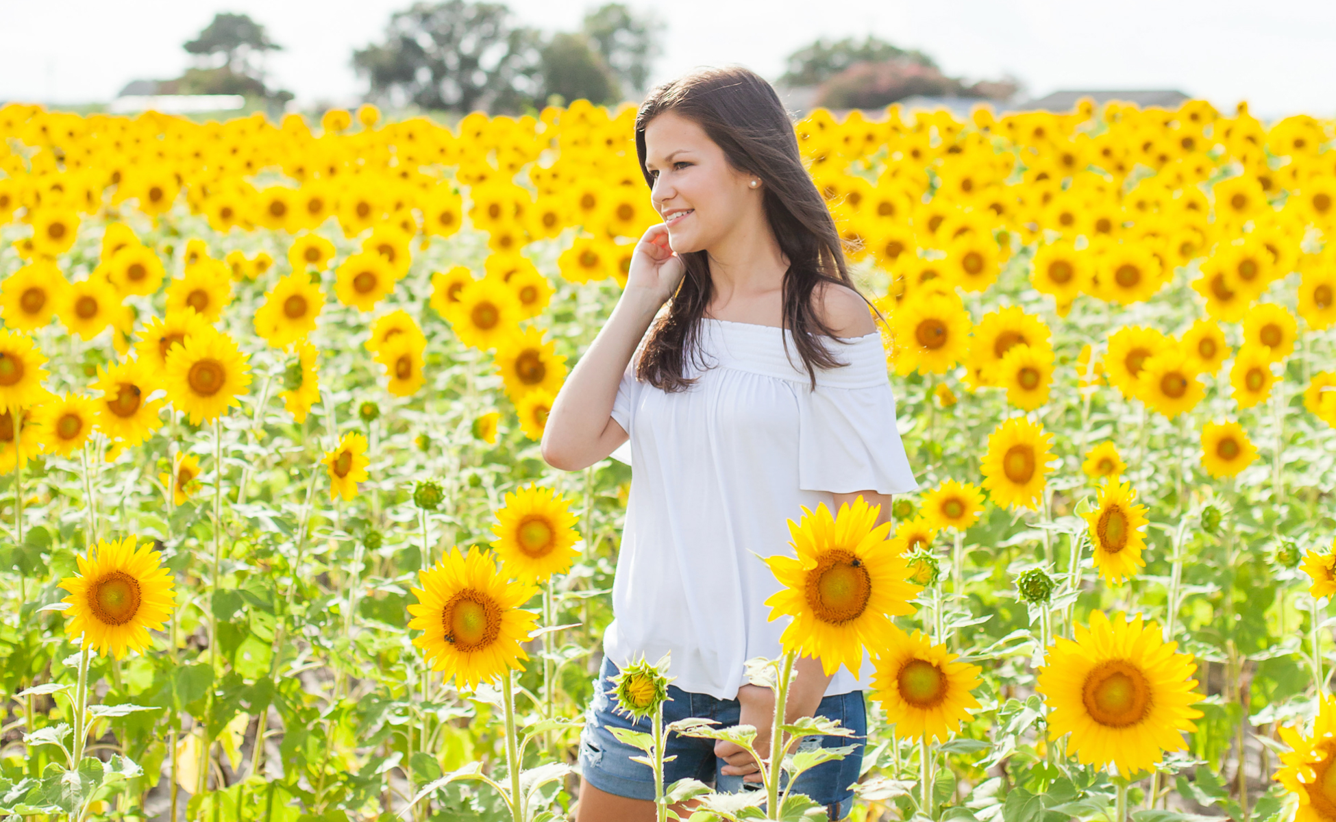 Sunflower Field Senior Portrait Session Sarah Hilts Photography
